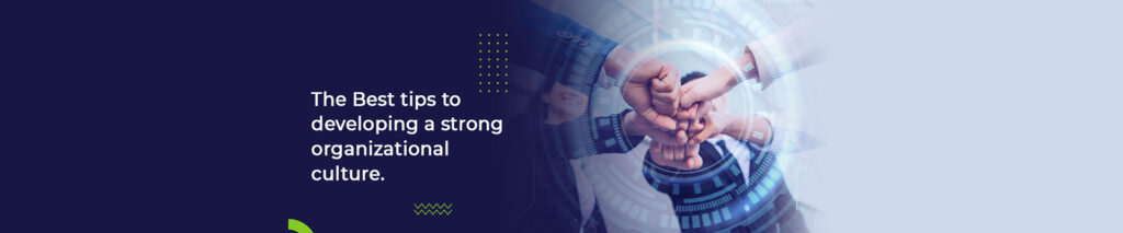 The Best Tips to Developing a Strong Organizational Culture